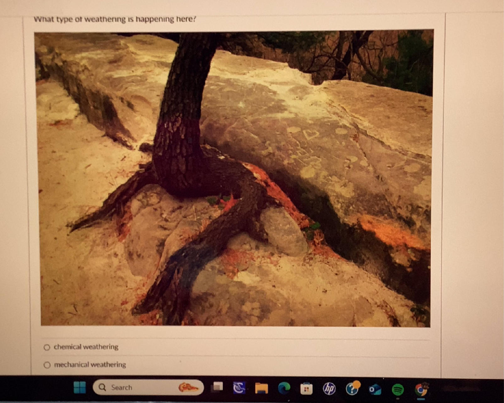 What type of weathering is happening here? | StudyX