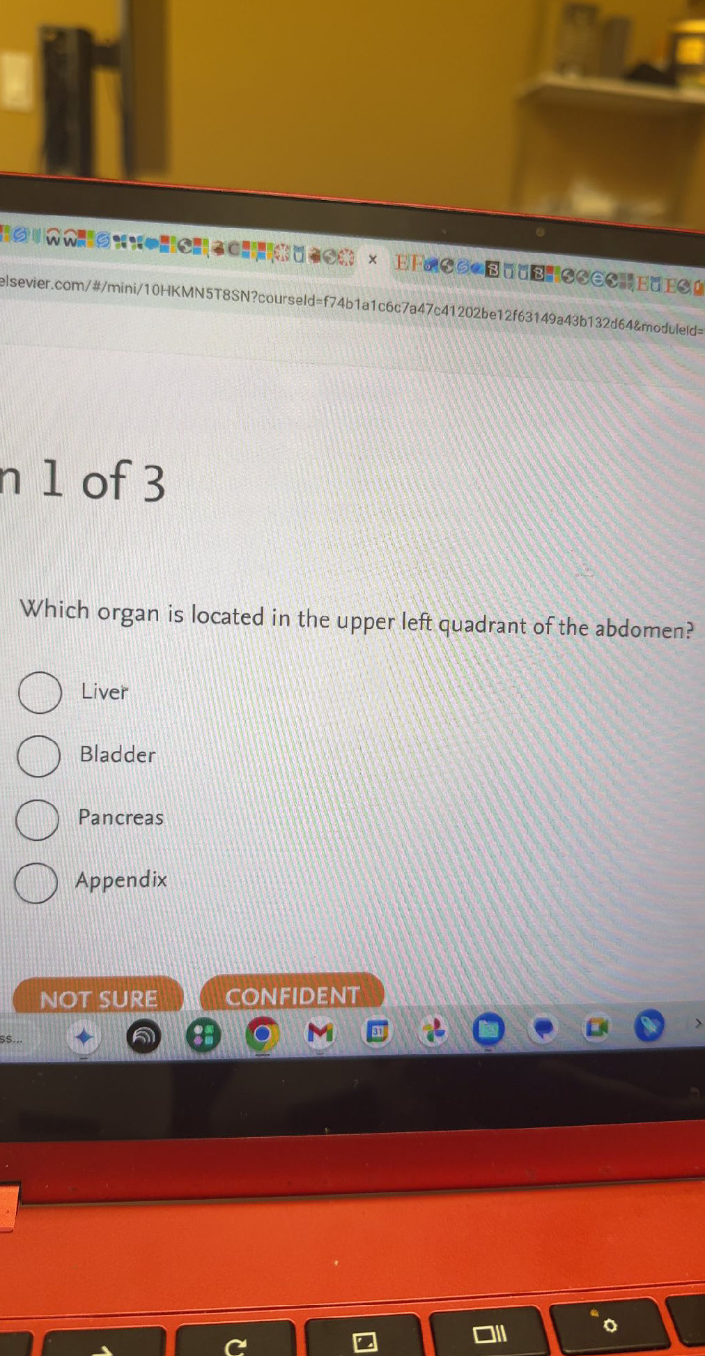 Which organ is located in the upper left | StudyX