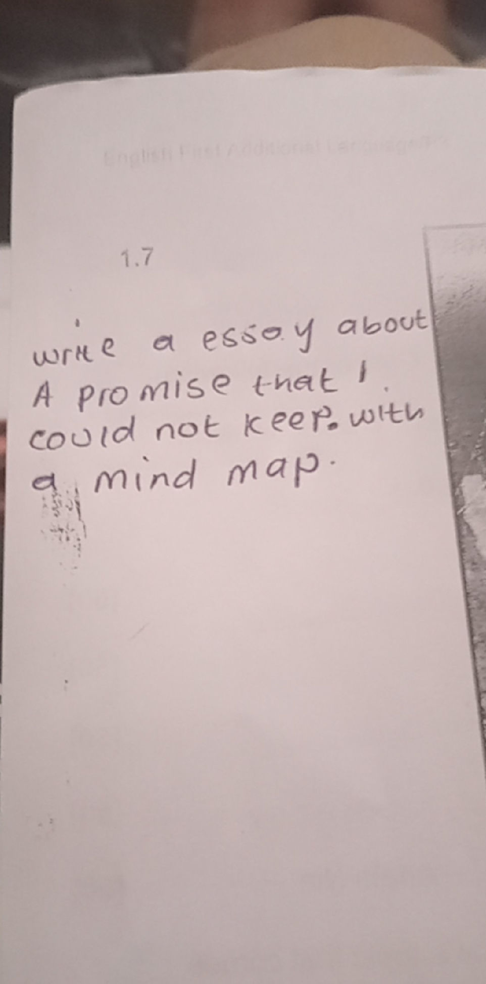 write a essay about A promise that I could | StudyX