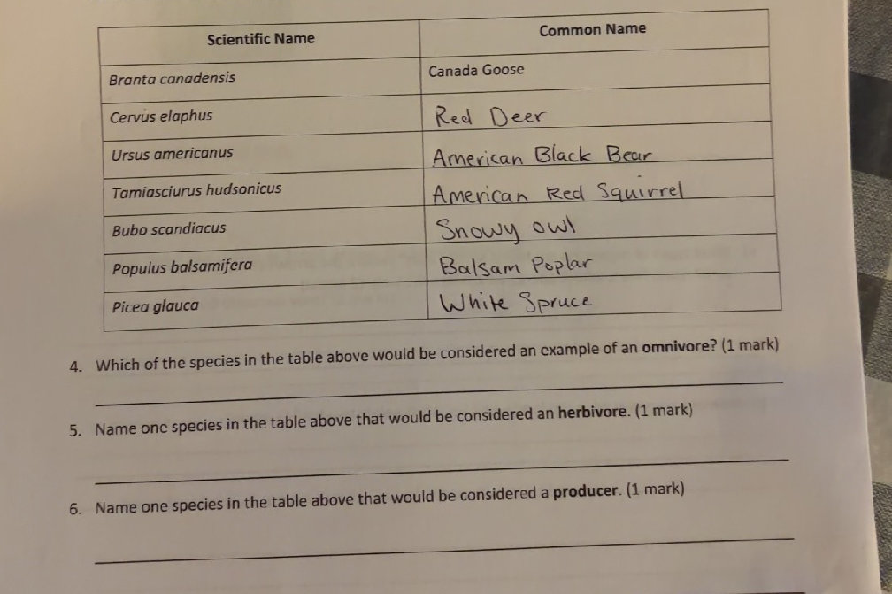 The table below shows the Scientific Name | StudyX