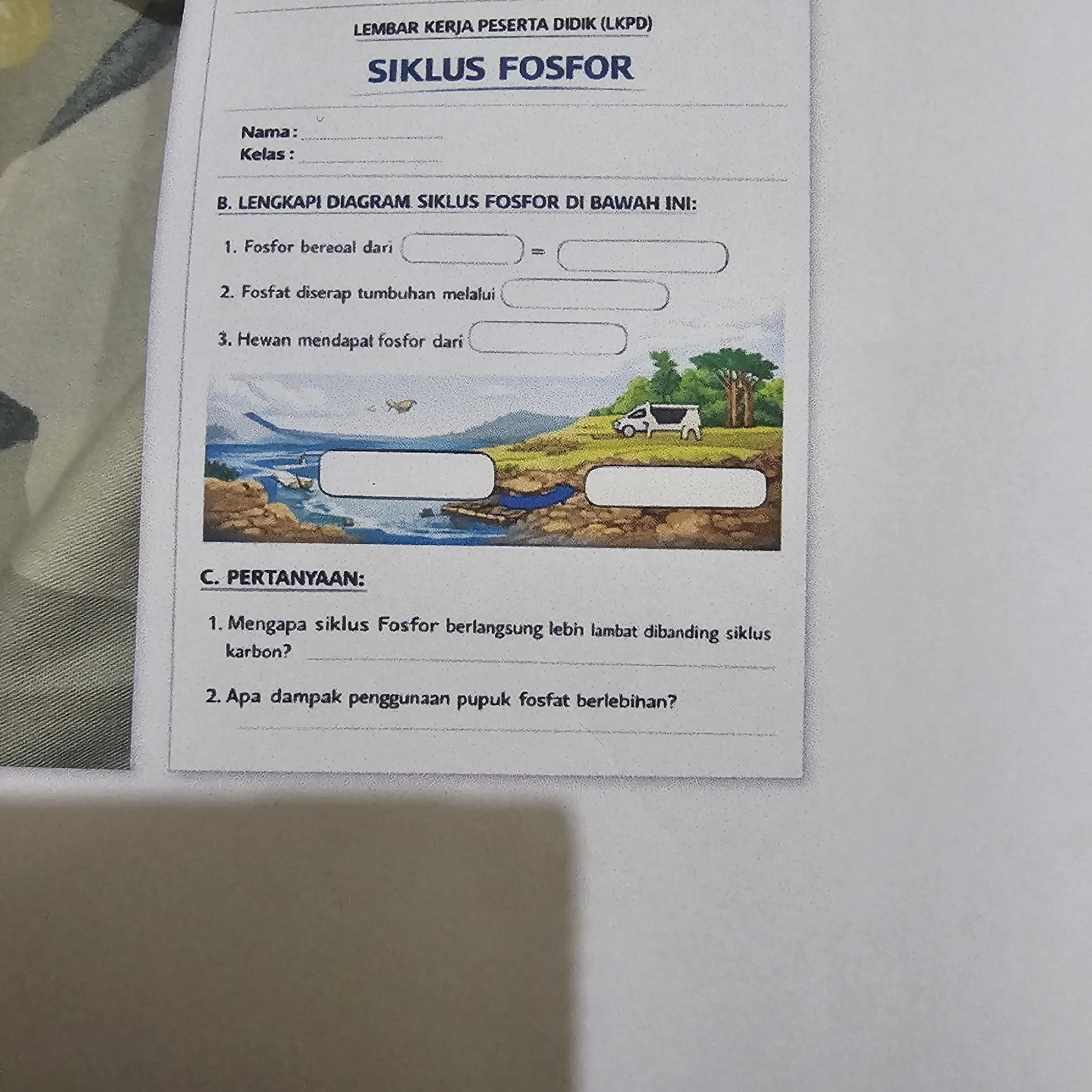 B. LENGKAPI DIAGRAM SIKLUS FOSFOR DI BAWAH | StudyX
