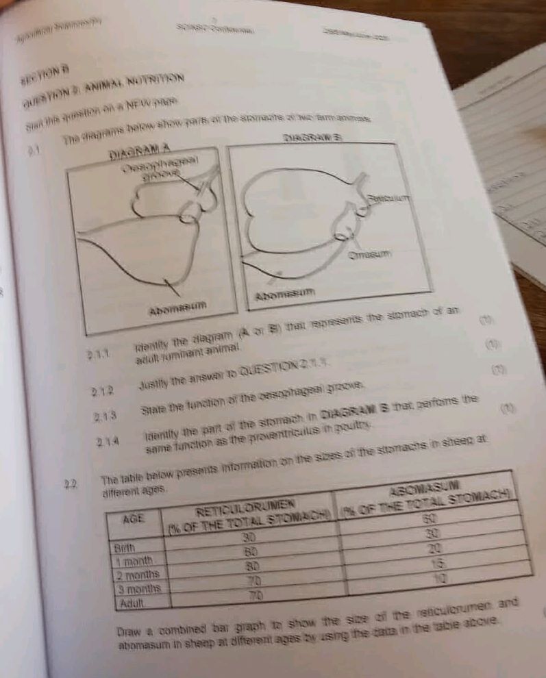 2.1 The diagrams below show parts of the | StudyX