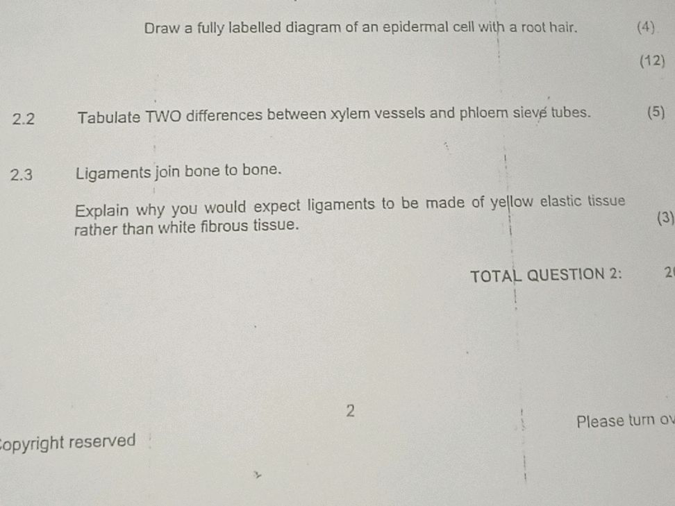 Draw a fully labelled diagram of an | StudyX