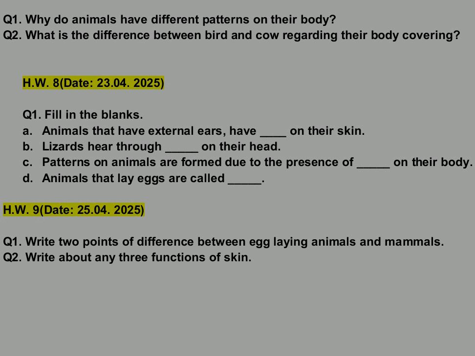 Q1. Why do animals have different patterns | StudyX