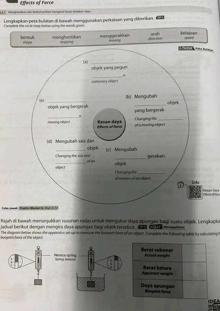 Complete the circle map below using the | StudyX