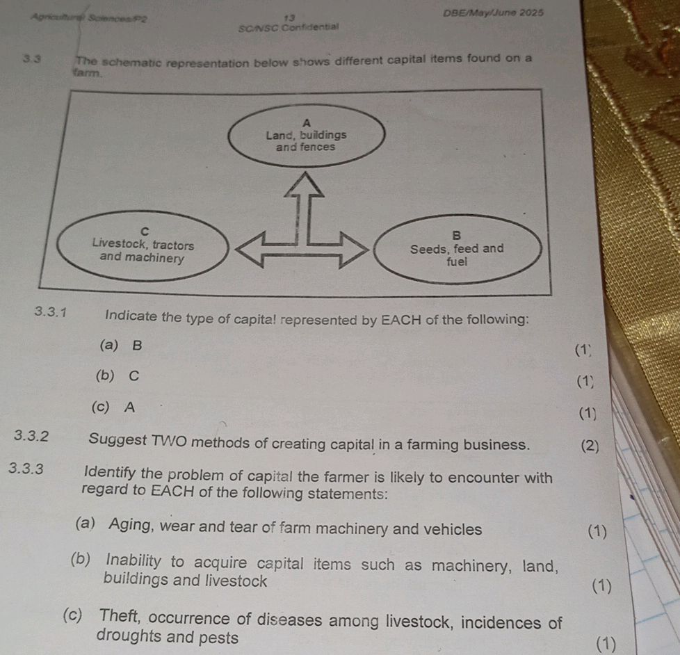 3.3 The schematic representation below shows | StudyX
