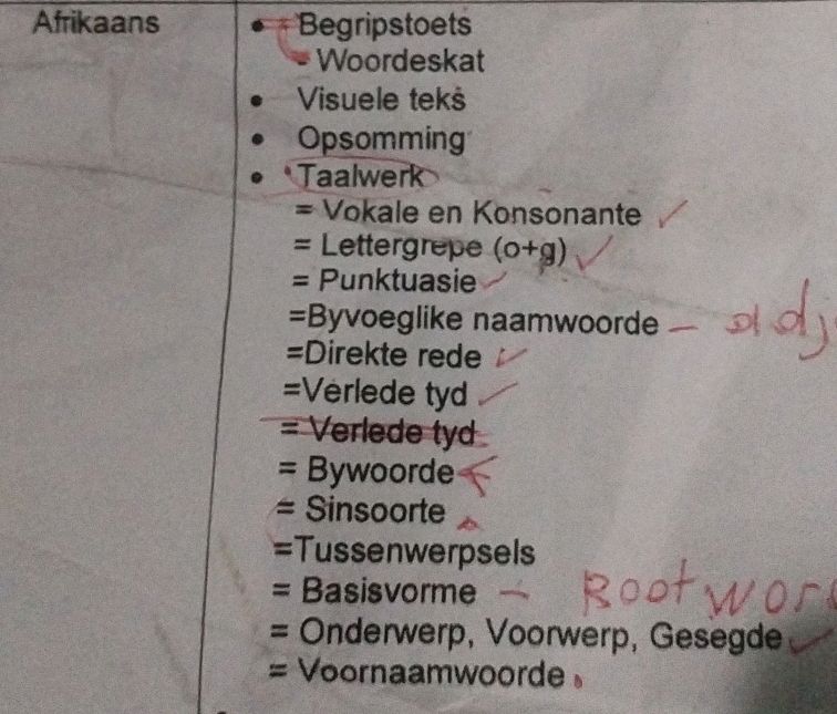 Afrikaans * Begripstoets * Woordeskat * | StudyX