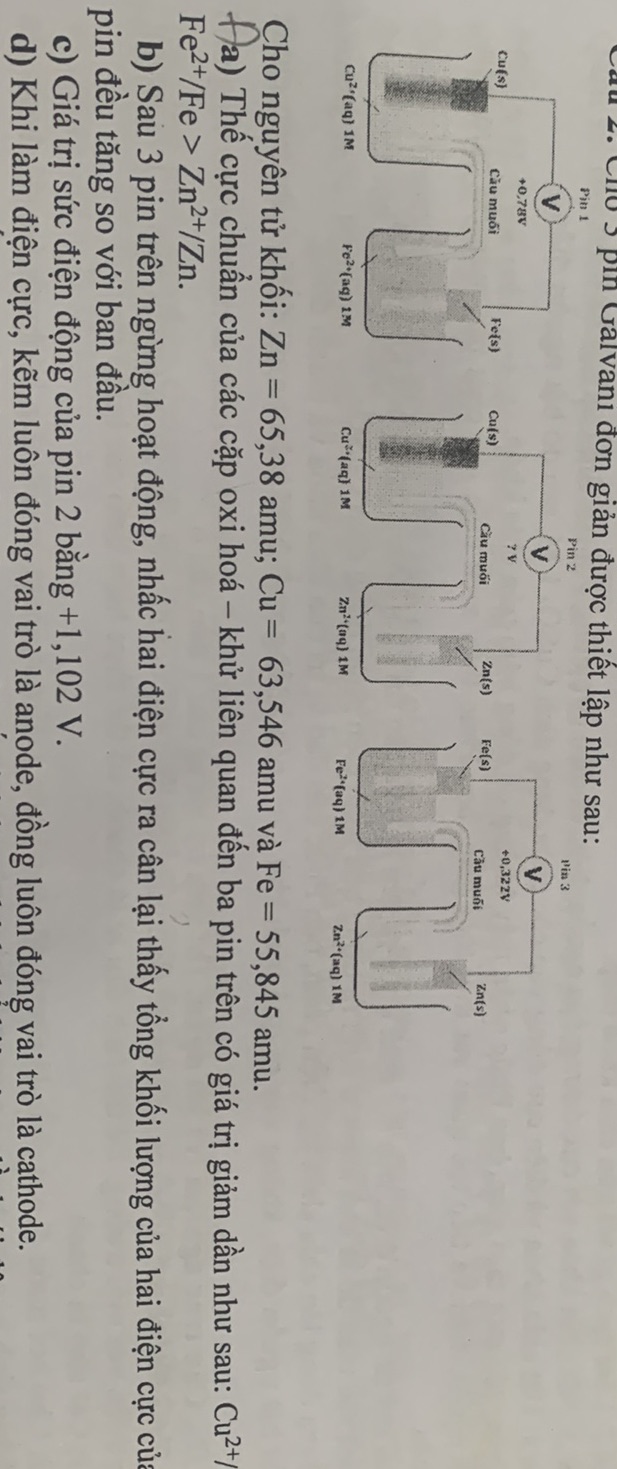 Câu 2. Cho 3 pin Galvani đơn giản được thiết | StudyX