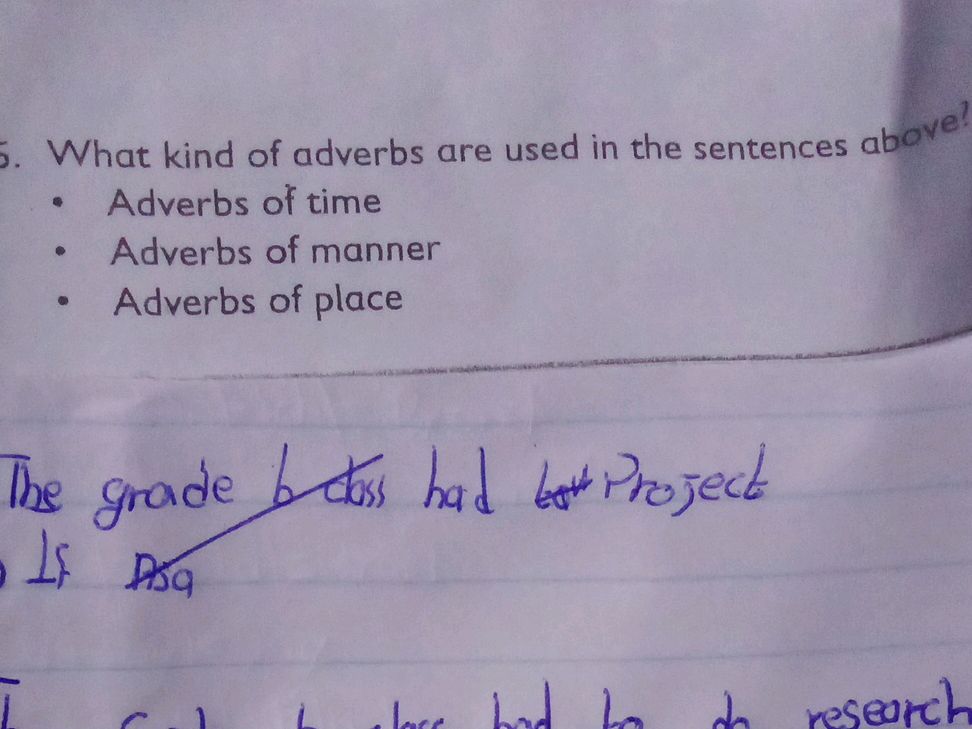 5. What kind of adverbs are used in the | StudyX
