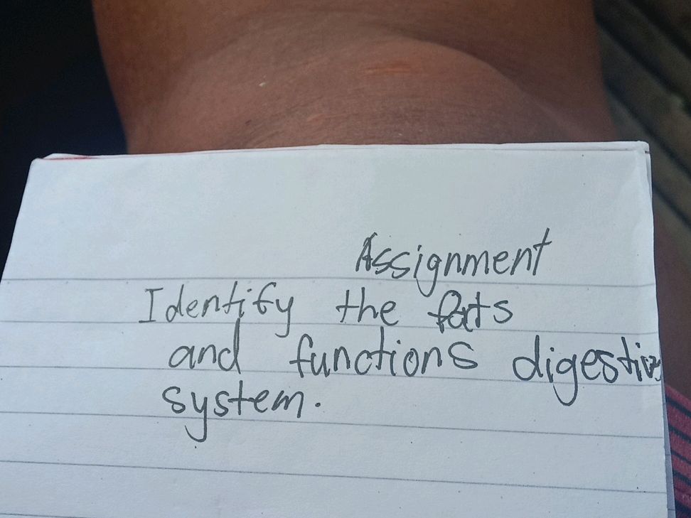 Identify the parts and functions digestive | StudyX