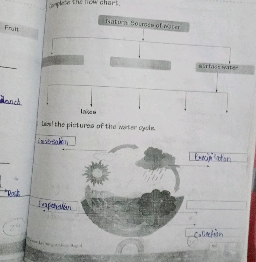 Complete the flow chart. Natural Sources of | StudyX