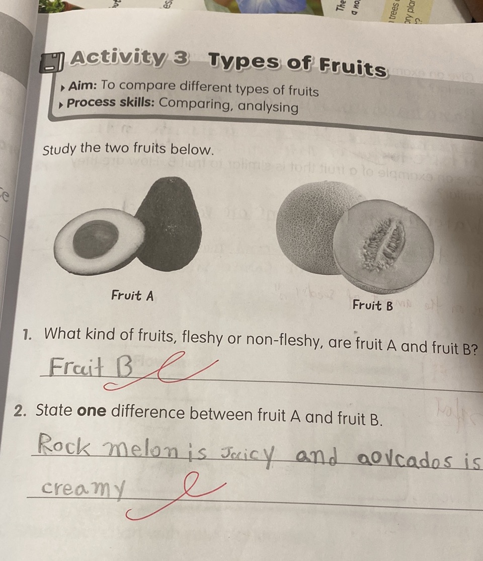 Study the two fruits below. Fruit A Fruit | StudyX