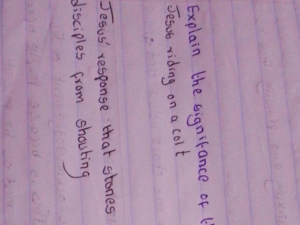 Explain the significance of Jesus riding on | StudyX