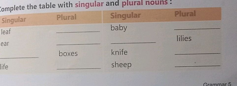 Complete the table with singular and plural | StudyX