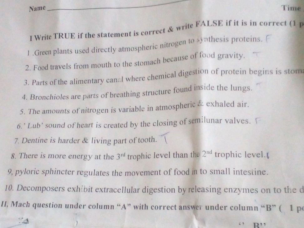 I Write TRUE if the statement is correct | StudyX