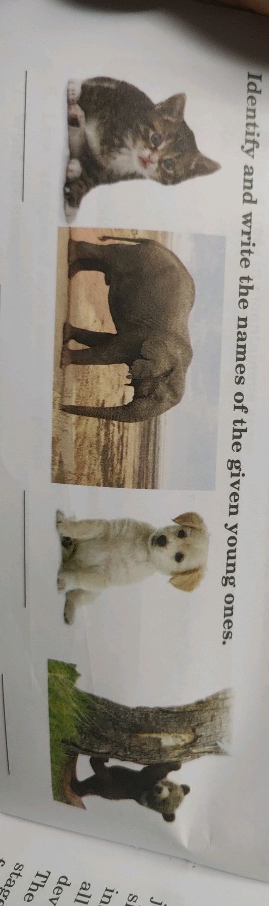 Identify and write the names of the given | StudyX