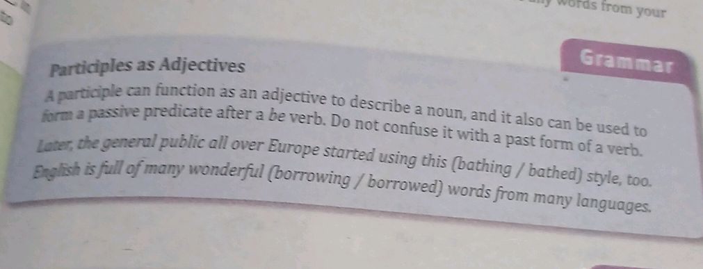 Participles as Adjectives A participle can | StudyX