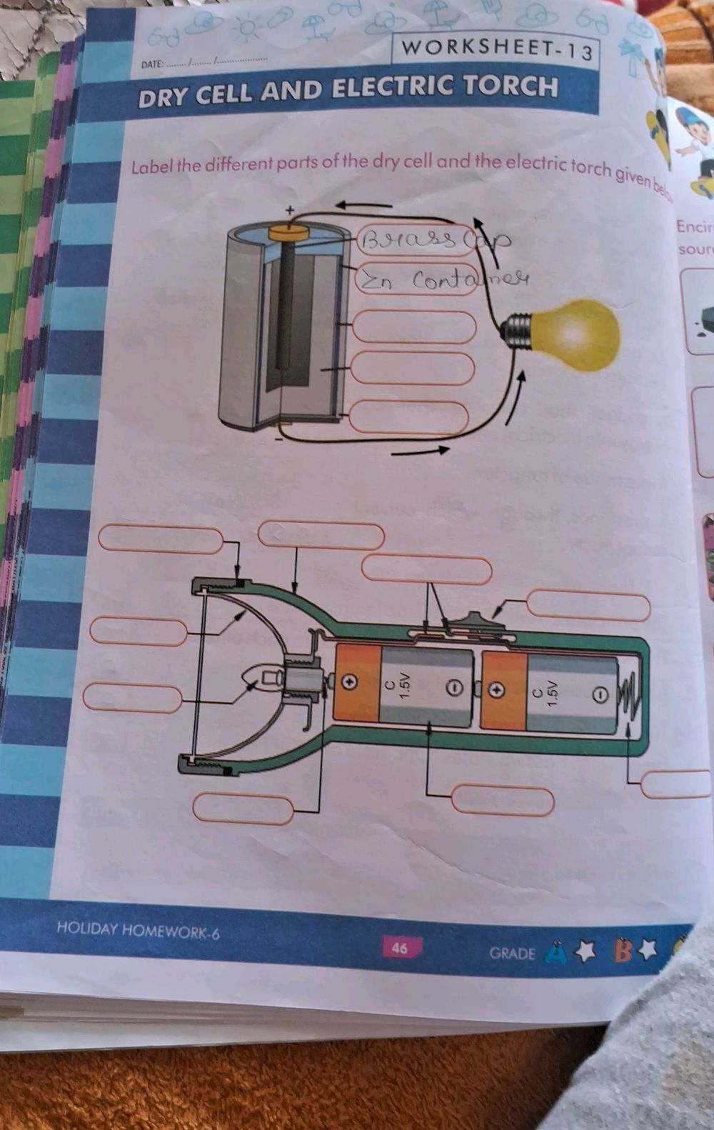 Label the different parts of the dry cell | StudyX