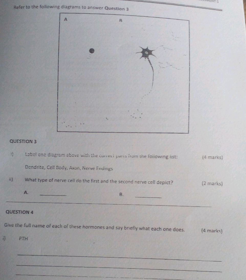 Refer to the following diagrams to answer | StudyX