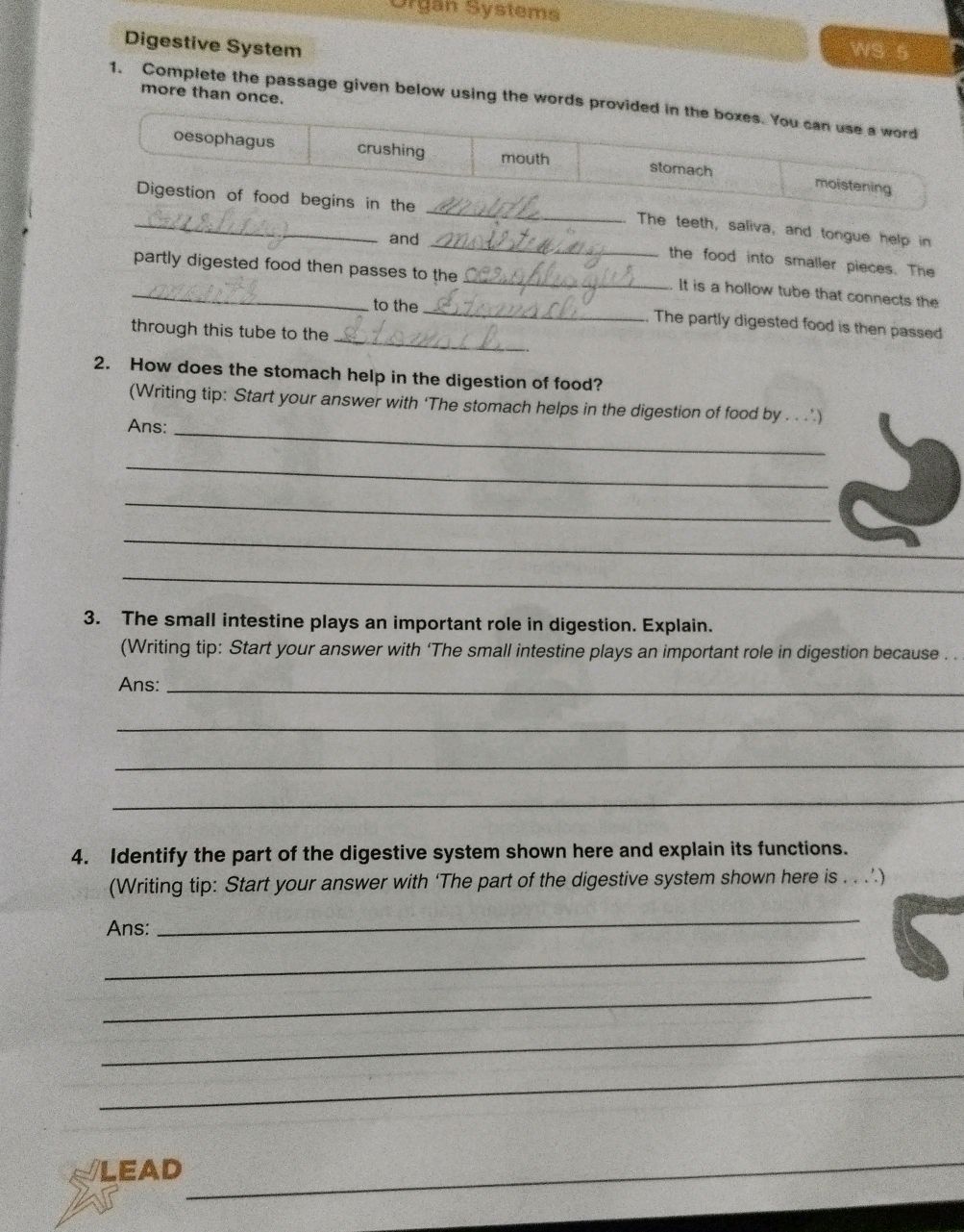 1. Complete the passage given below using | StudyX