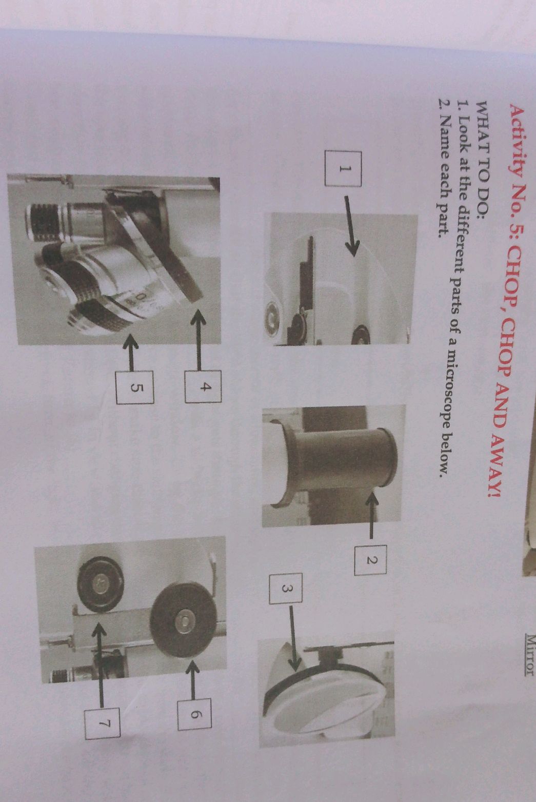 Activity No. 5: CHOP, CHOP AND AWAY! WHAT | StudyX
