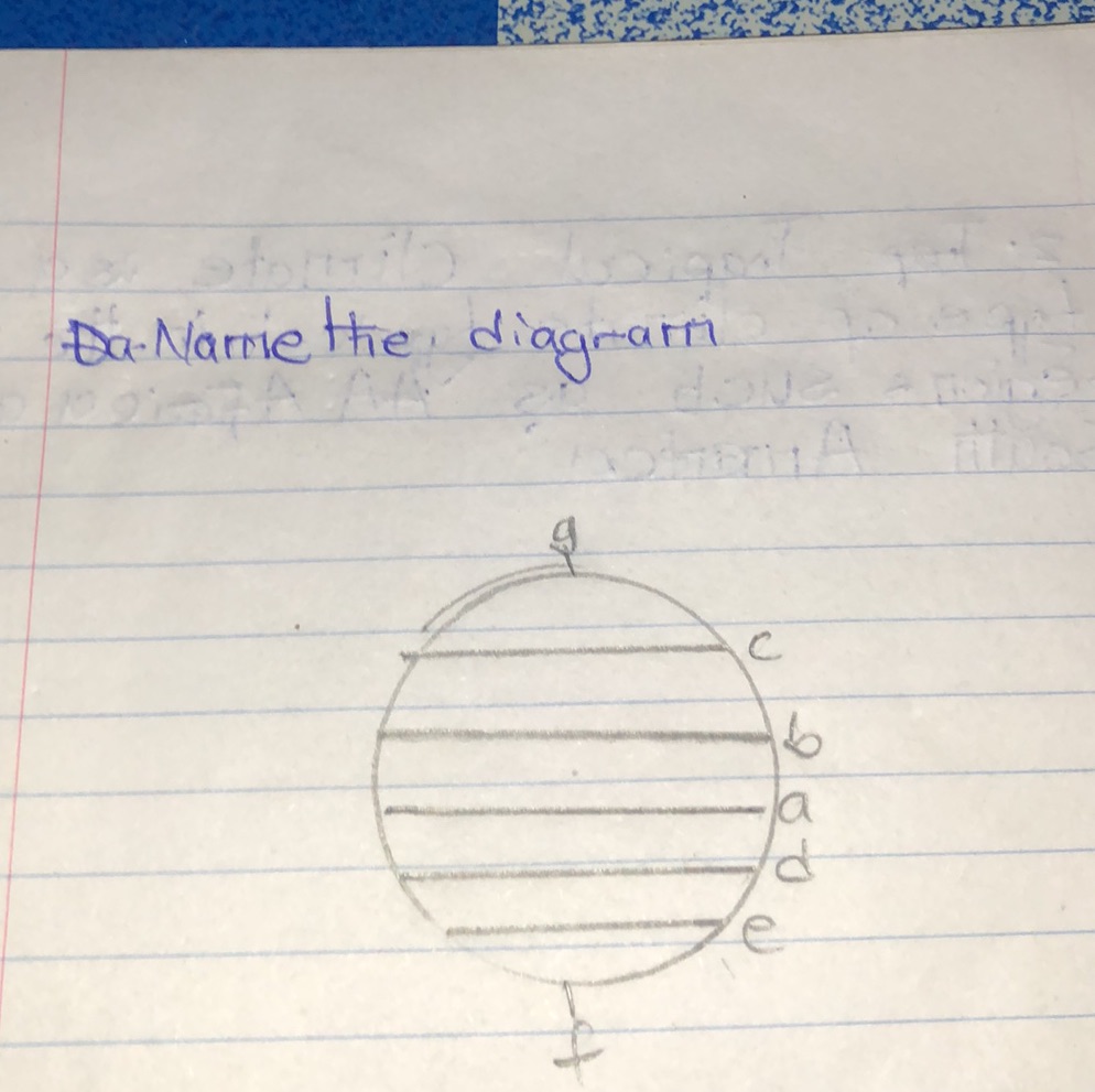 Da. Name the diagram (Diagram of a circle | StudyX