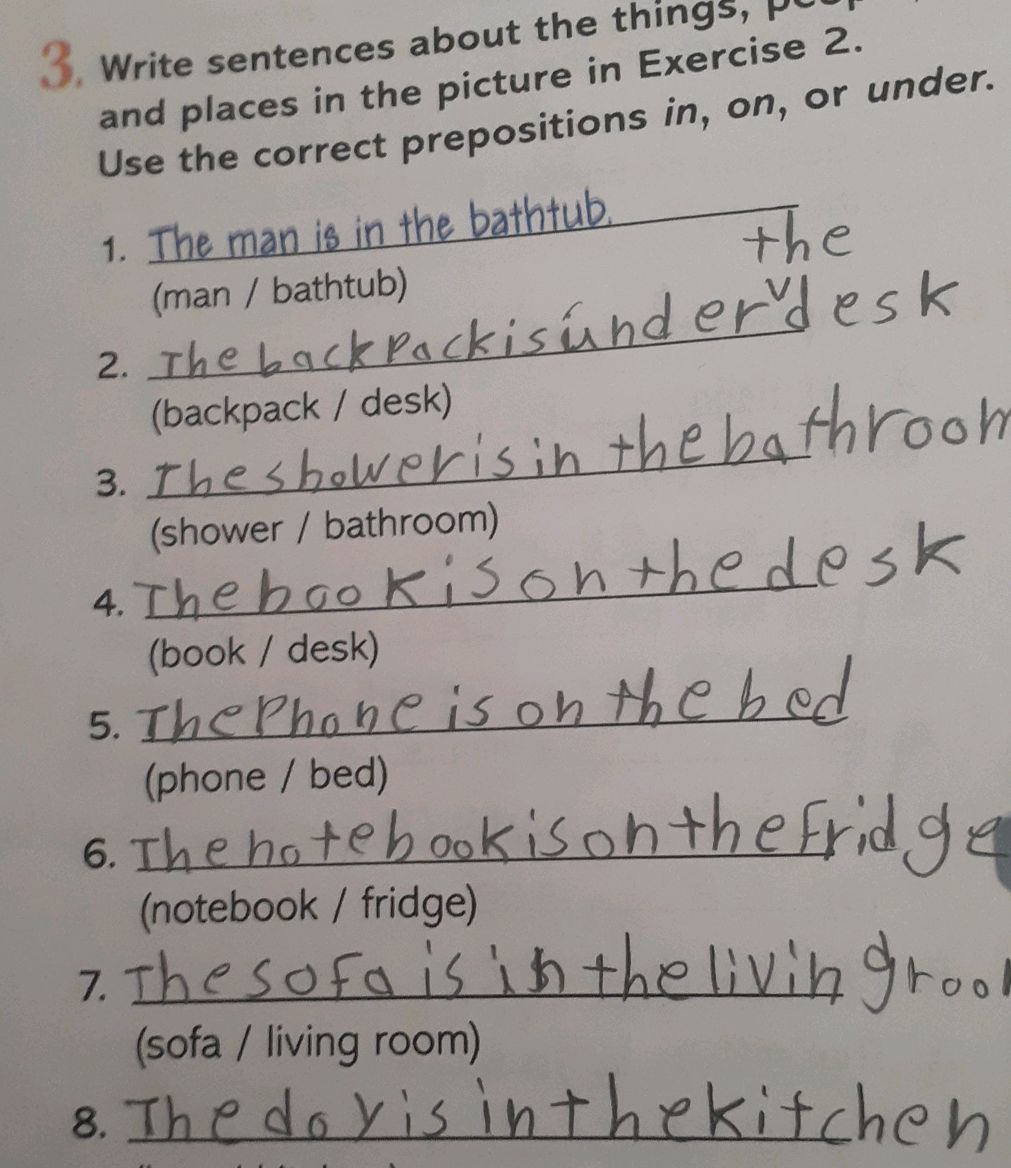 3. Write sentences about the things and | StudyX