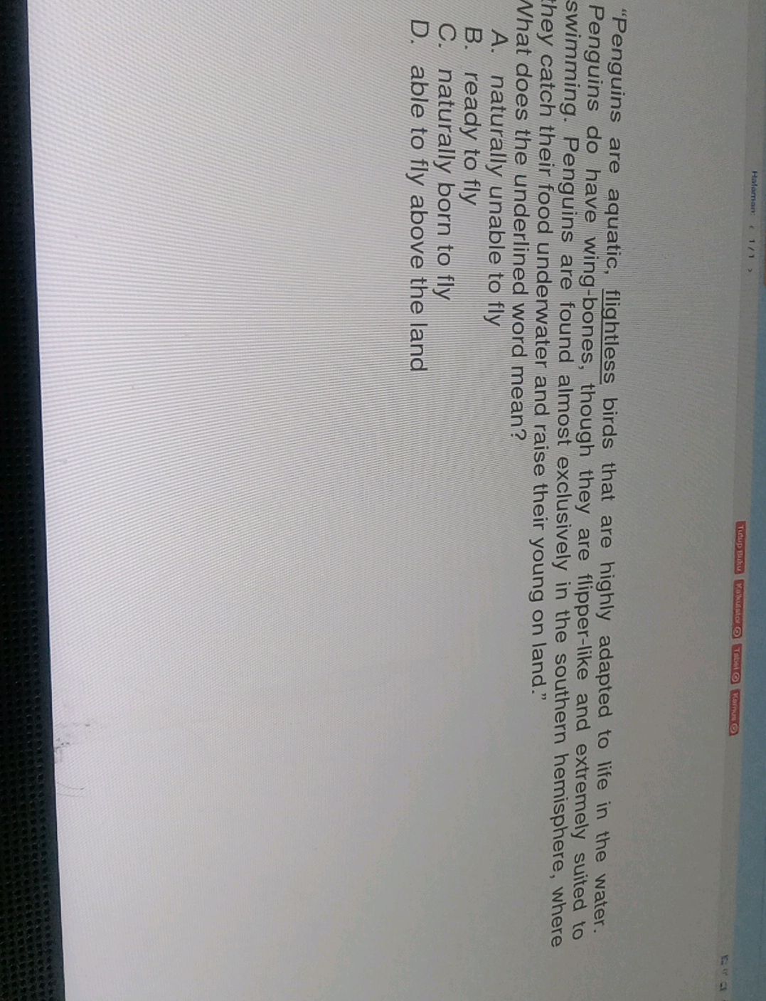 "Penguins are aquatic, flightless birds that | StudyX