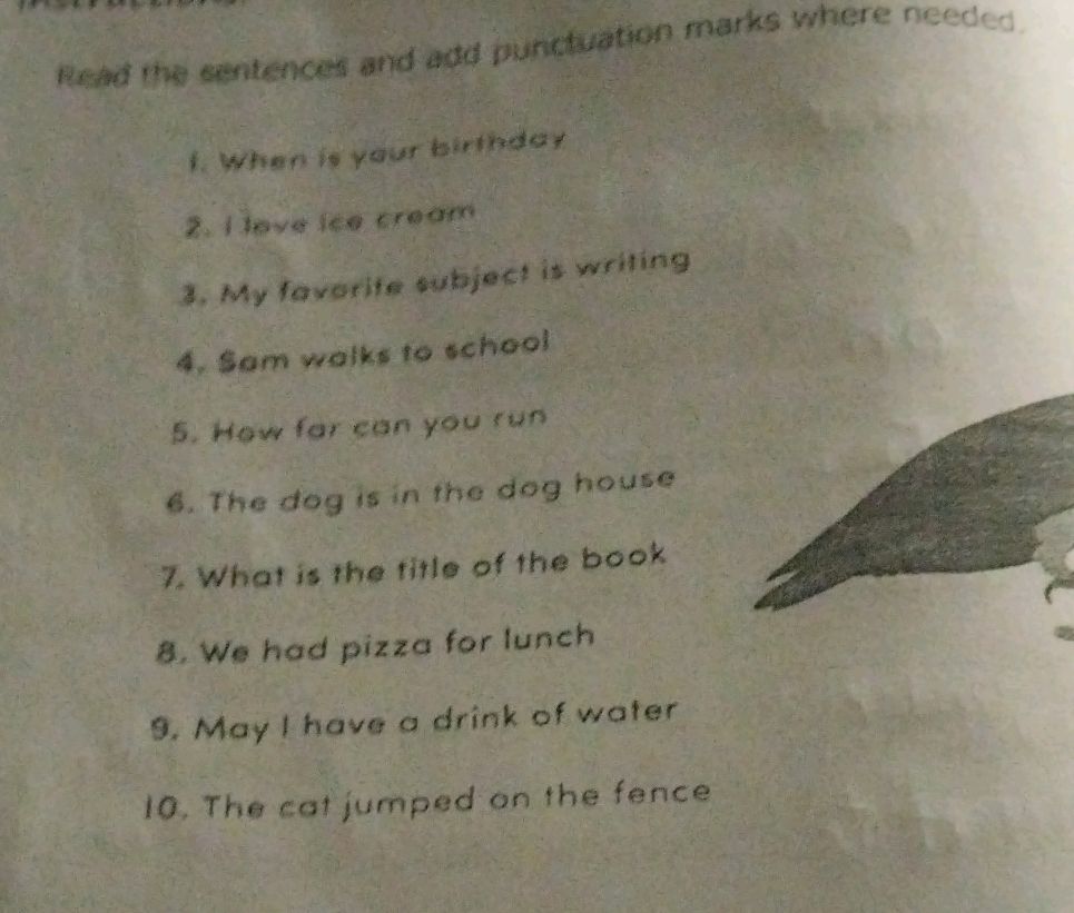 Read the sentences and add punctuation marks | StudyX