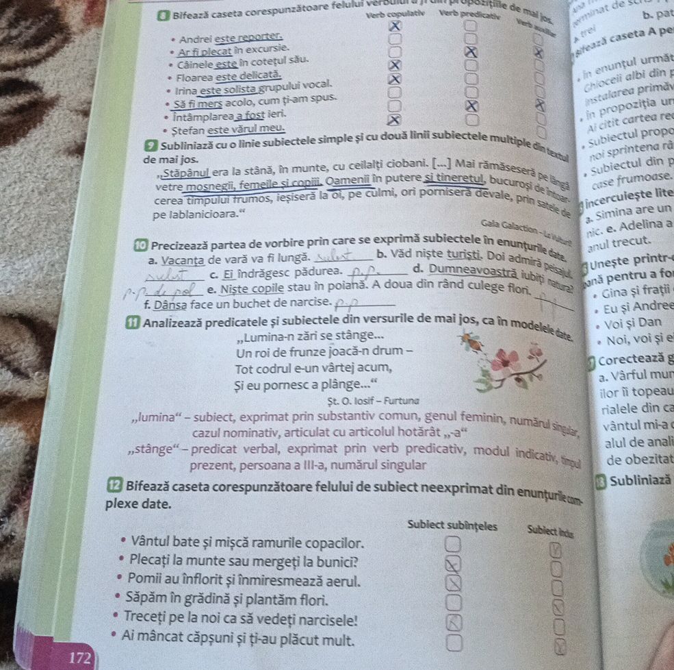 9. Subliniază cu o linie subiectele simple | StudyX