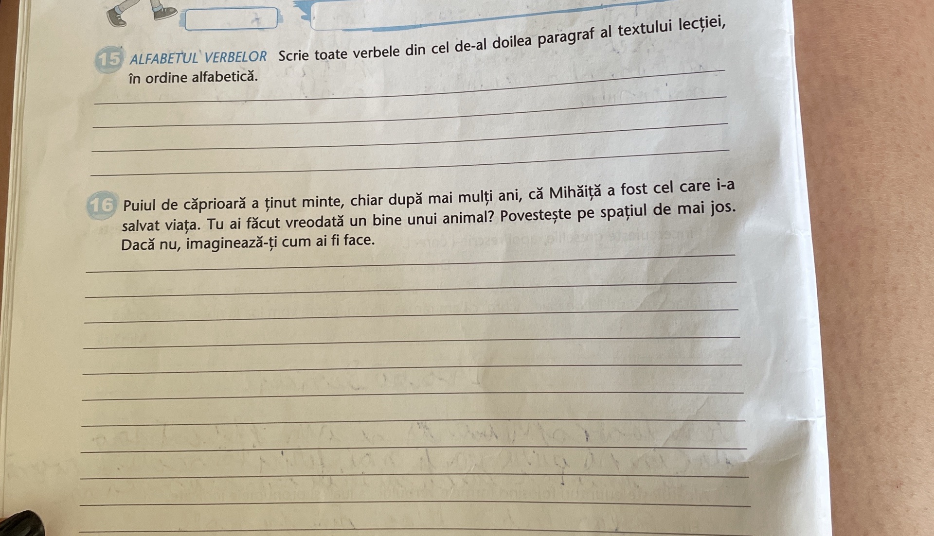 15 ALFABETUL VERBELOR Scrie toate verbele | StudyX