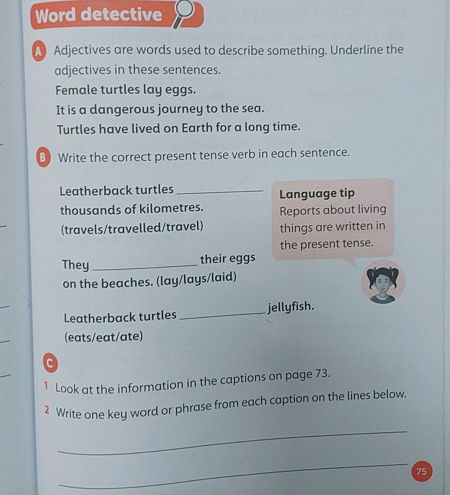 A Adjectives are words used to describe | StudyX