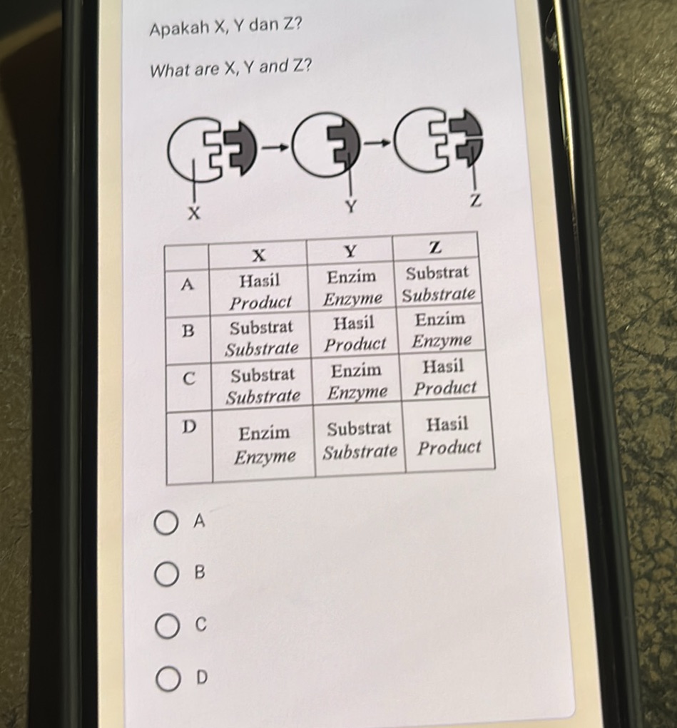 Apakah X, Y dan Z? What are X, Y and Z? | | StudyX