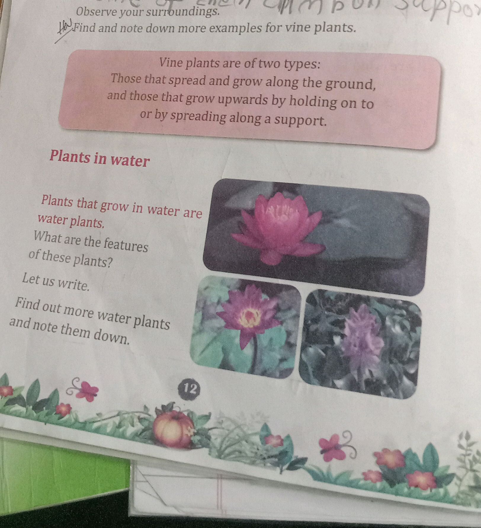 Find and note down more examples for vine | StudyX