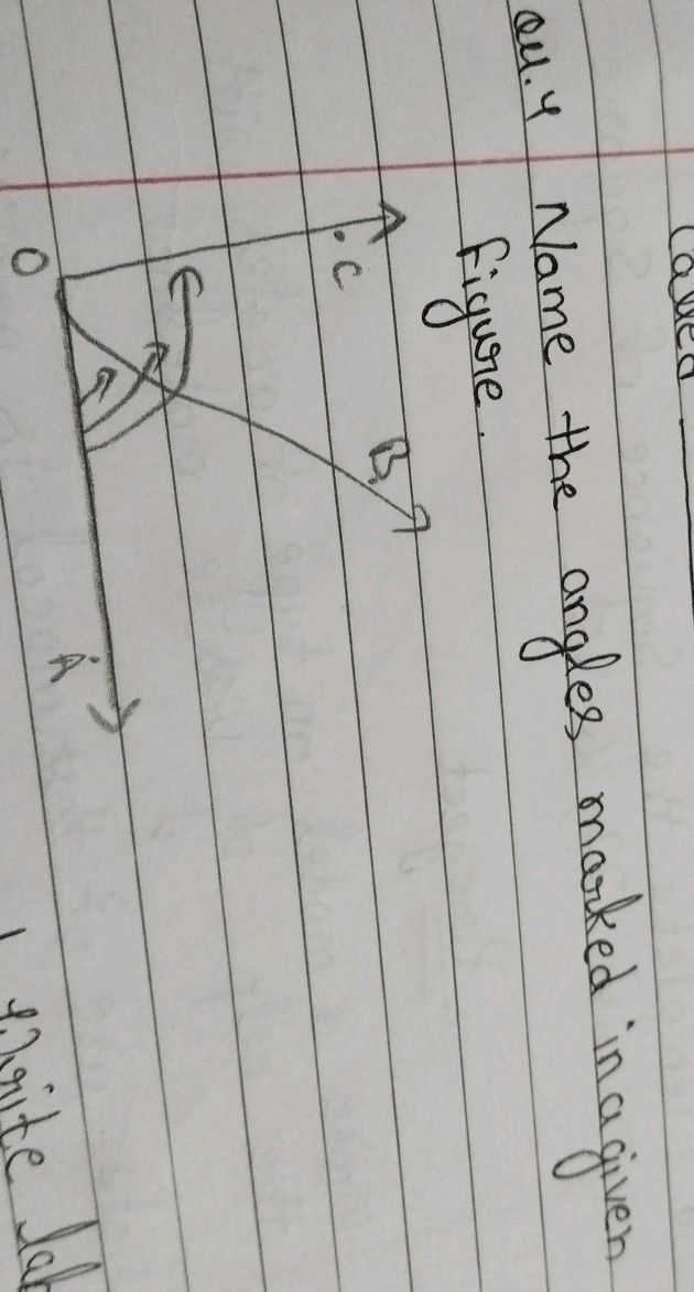 Name the angles marked in a given figure. | StudyX