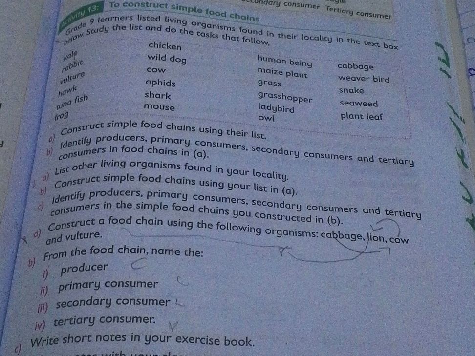 Activity 13: To construct simple food chains | StudyX