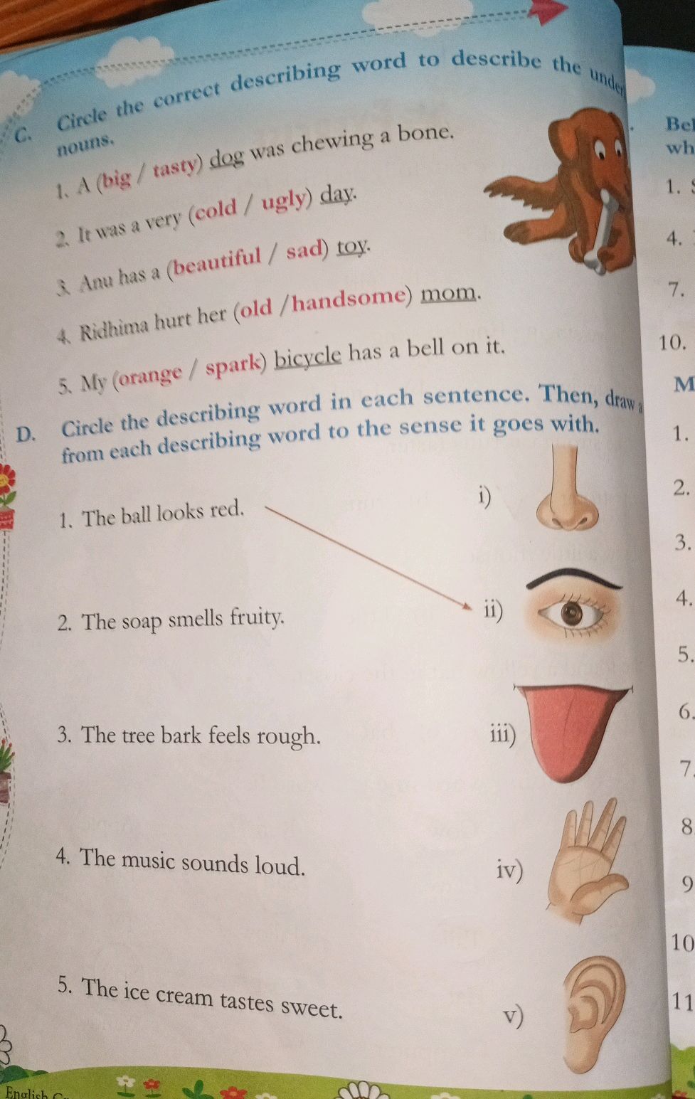 C. Circle the correct describing word to | StudyX
