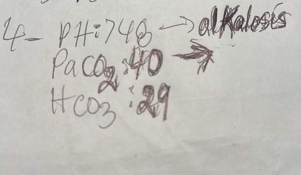 4- pH: 7.48 -> alkalosis PaCO2: 40 HCO3: 29 | StudyX
