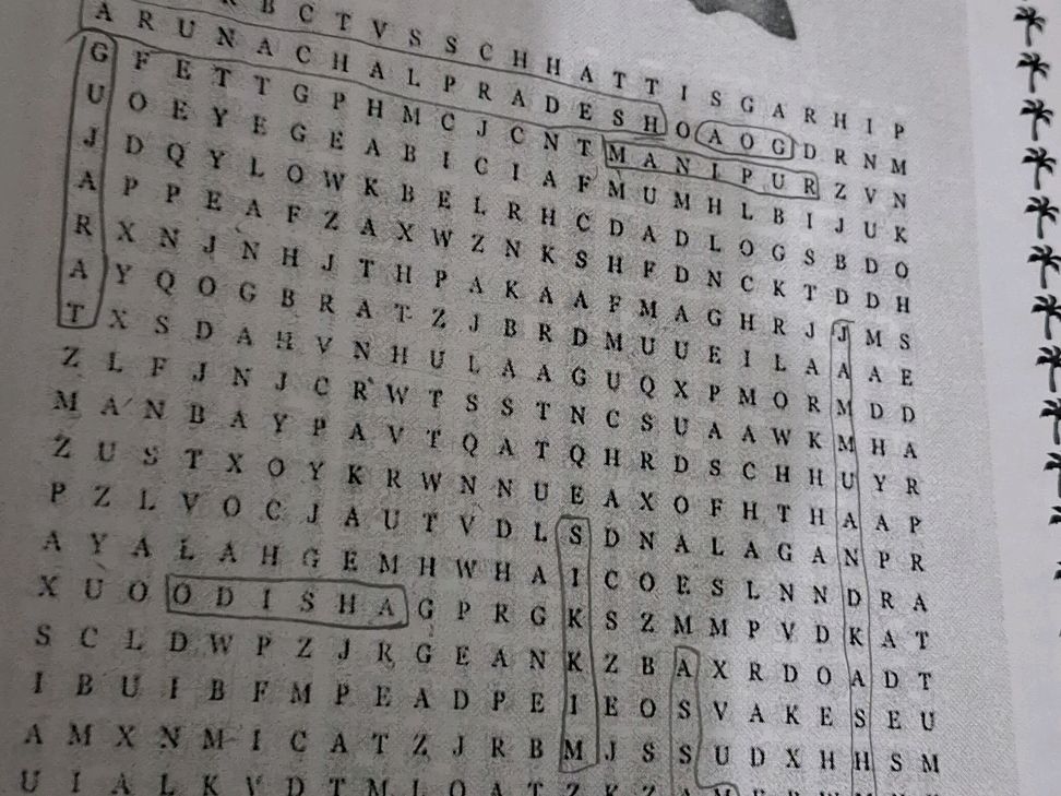 Find the following words in the word search: | StudyX
