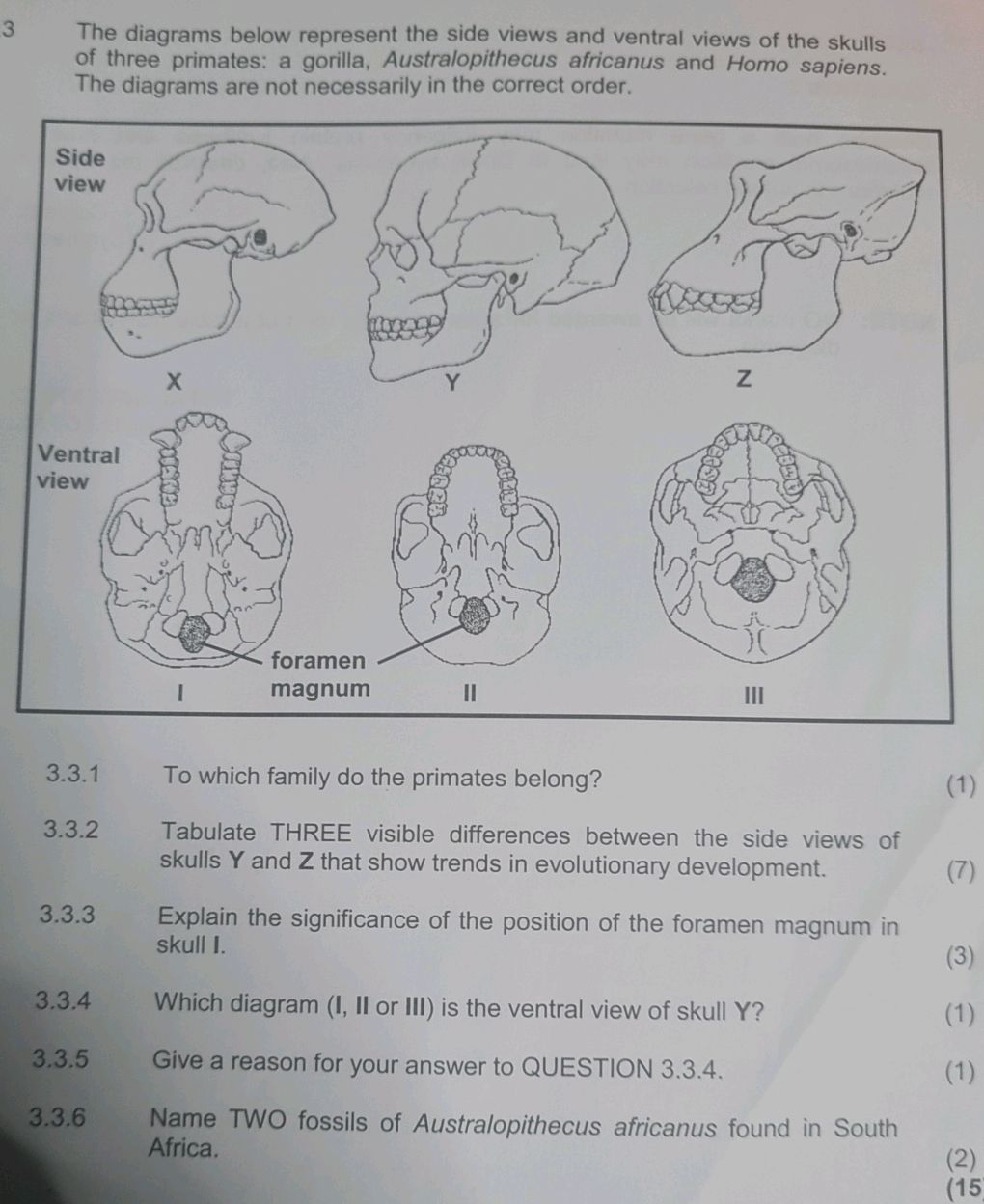 The diagrams below represent the side views | StudyX
