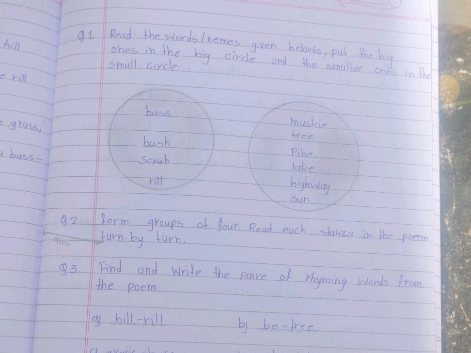 q1. Read the words/names given below, put | StudyX