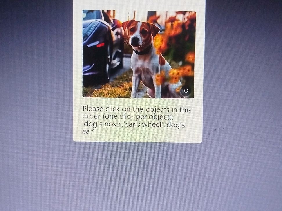 Please click on the objects in this order | StudyX