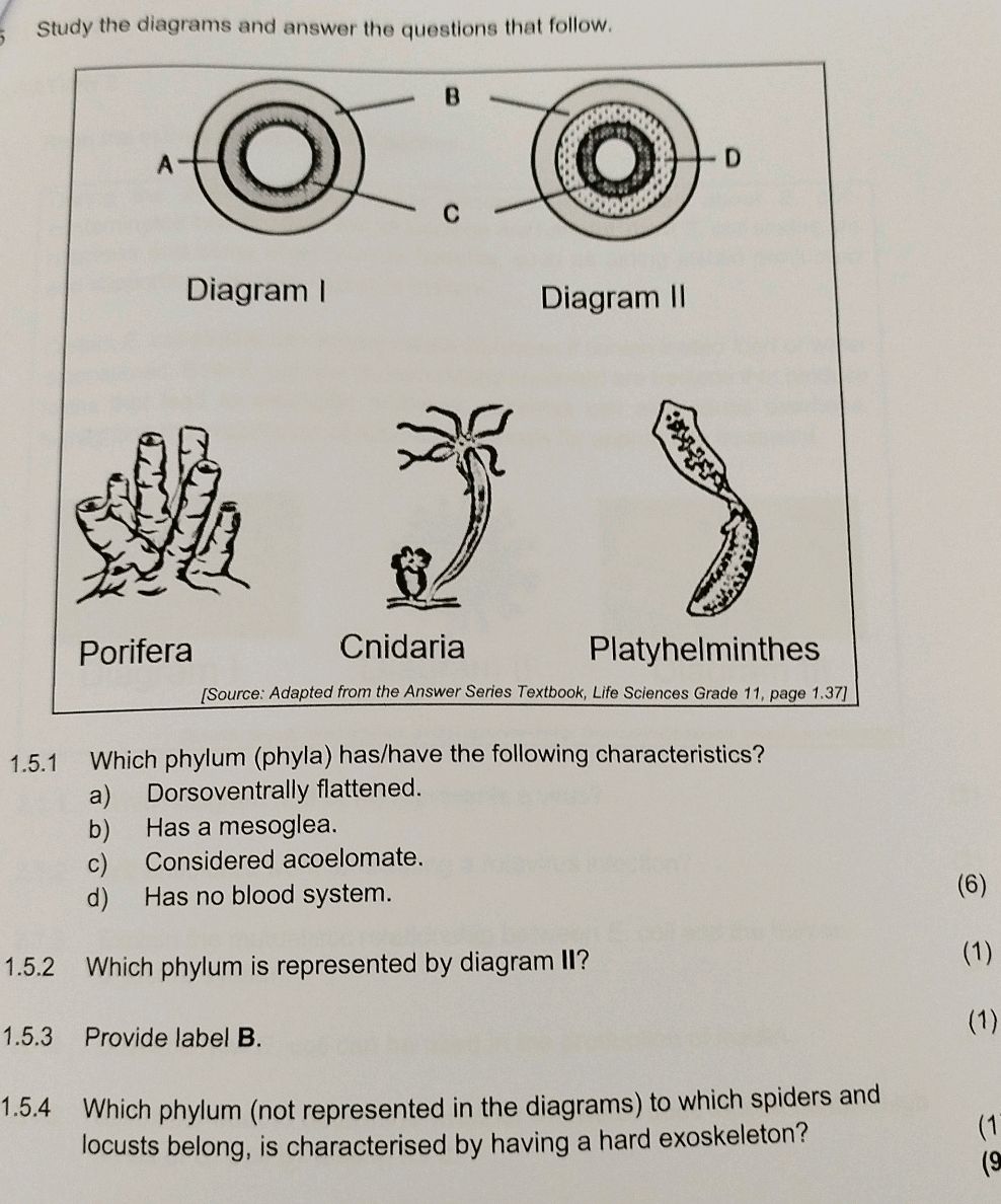 Study the diagrams and answer the questions | StudyX
