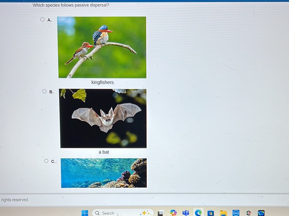 Which species follows passive dispersal? A. | StudyX