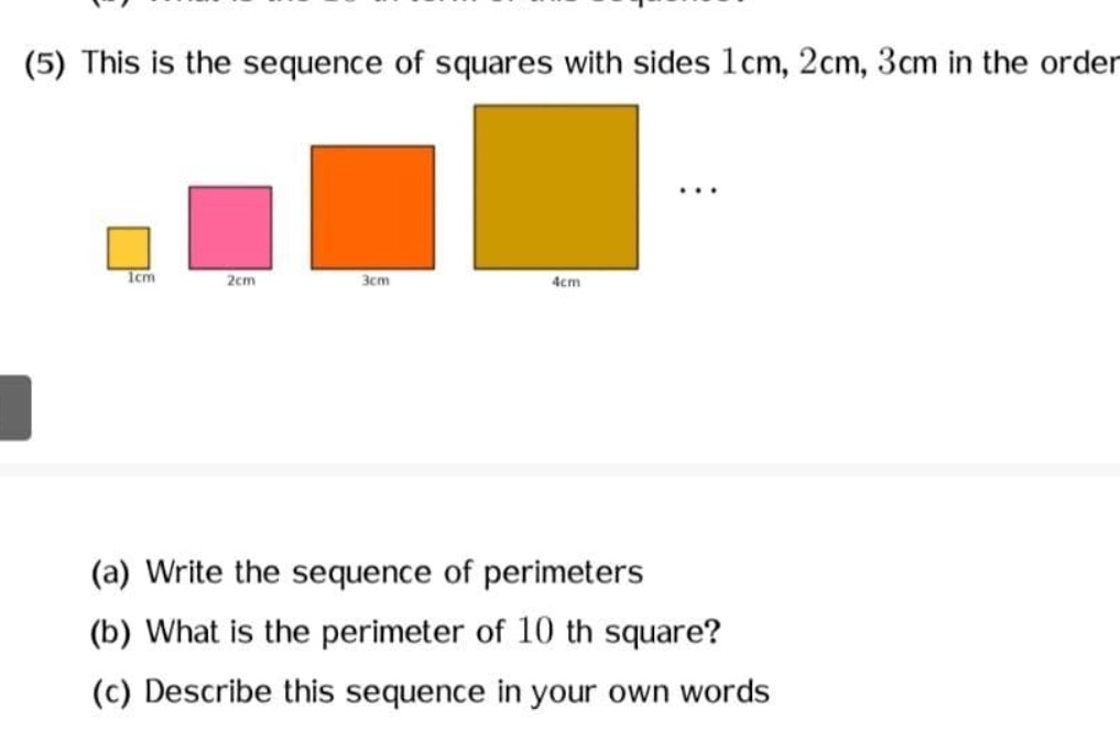 (5) This is the sequence of squares with | StudyX