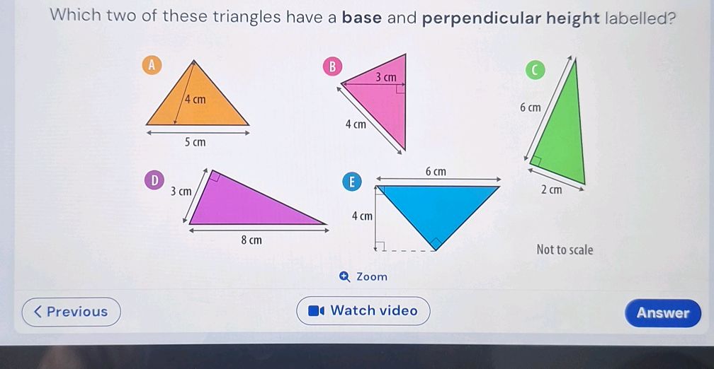 Which two of these triangles have a base and | StudyX