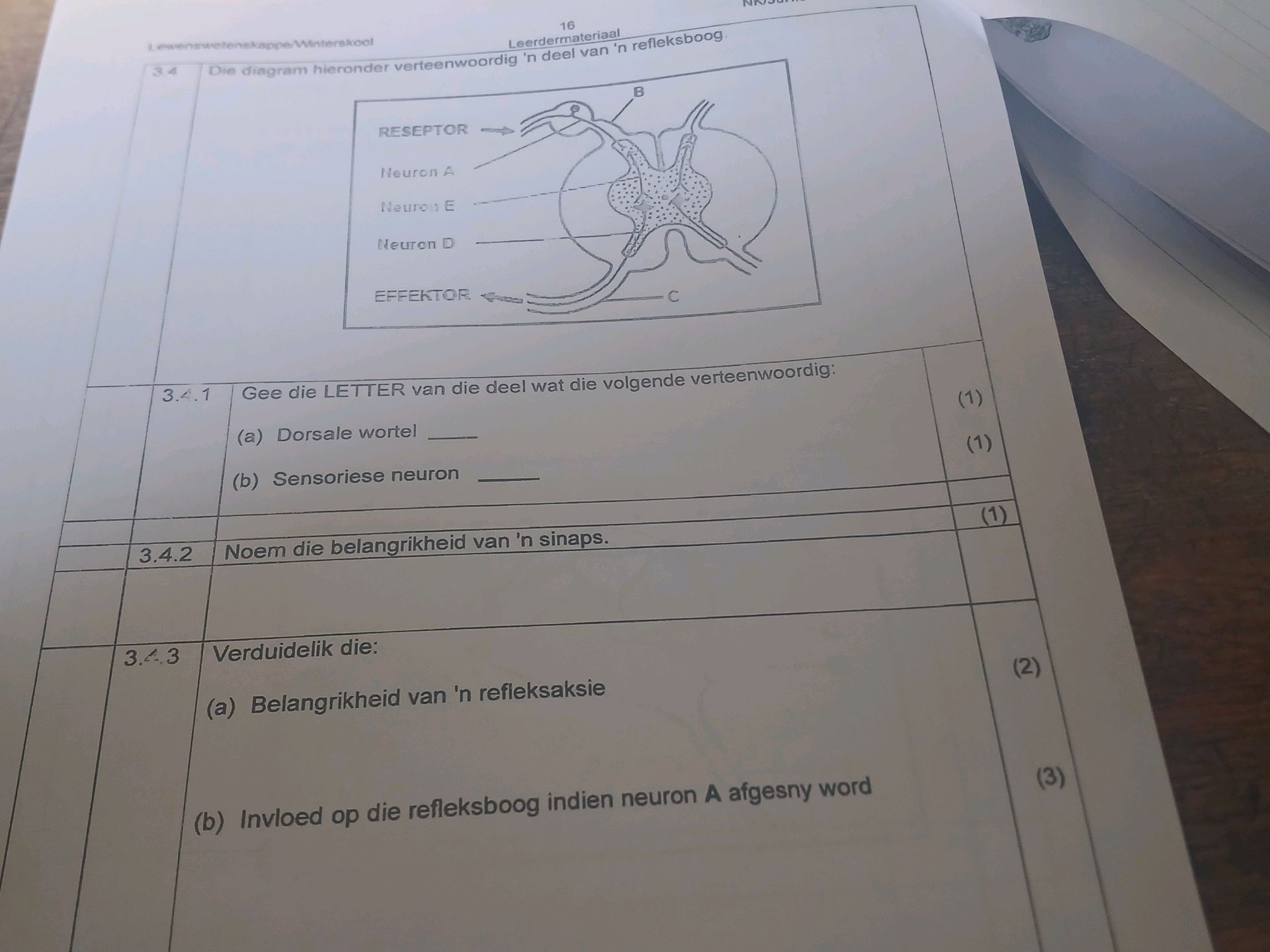 3.4 Die diagram hieronder verteenwoordig 'n | StudyX