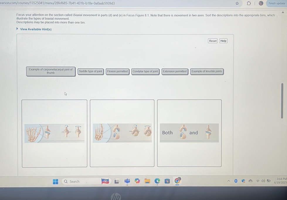 Focus your attention on the section called | StudyX