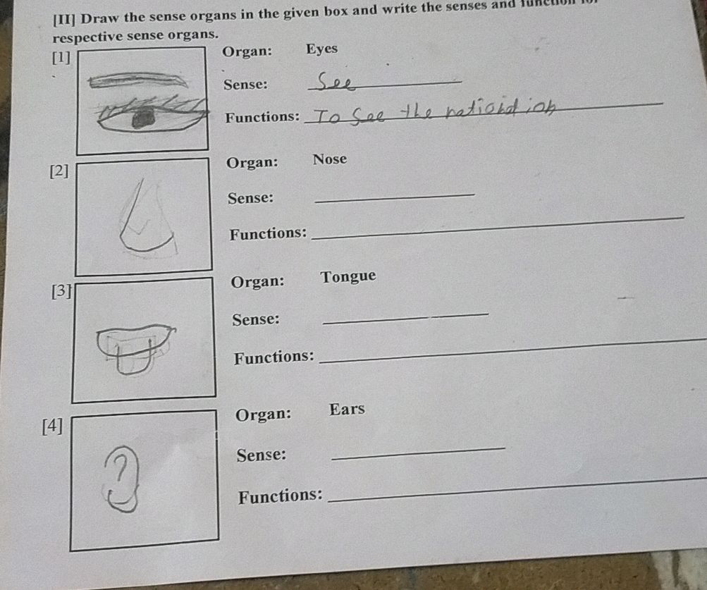 [II] Draw the sense organs in the given box | StudyX