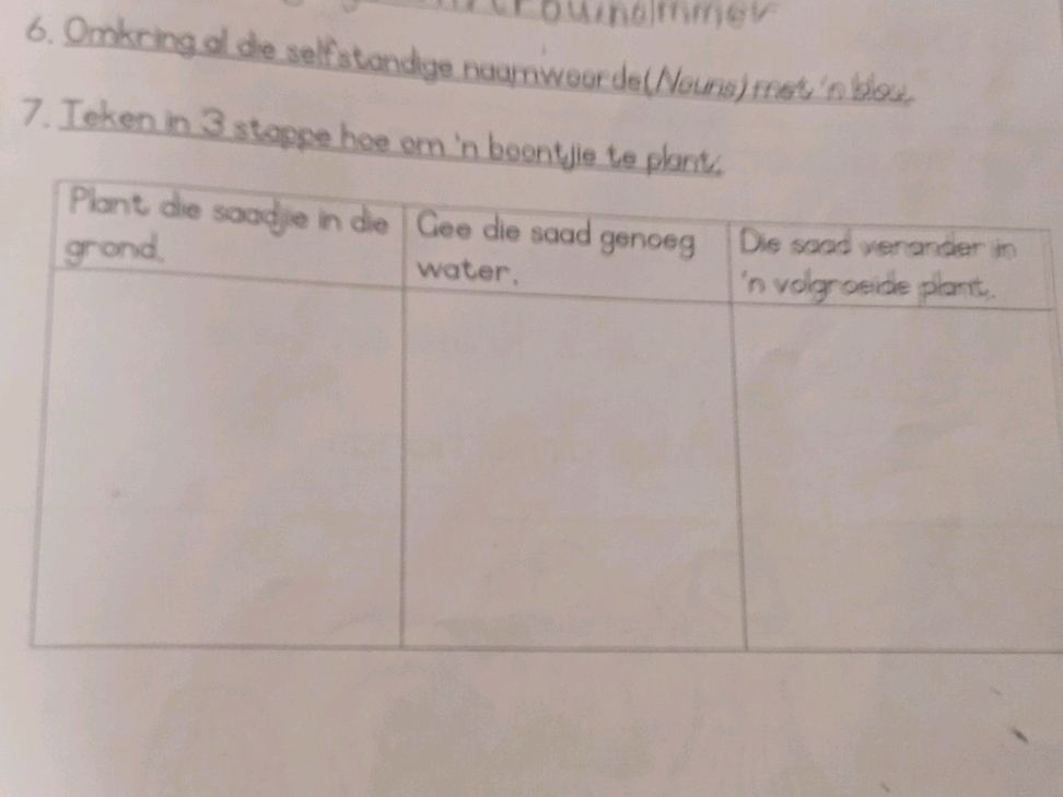 6. Omkring al die selfstandige naamwoorde | StudyX